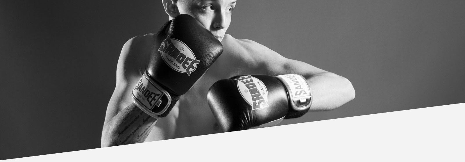 BOXING GLOVES – SANDEE WORLDWIDE LIMITED